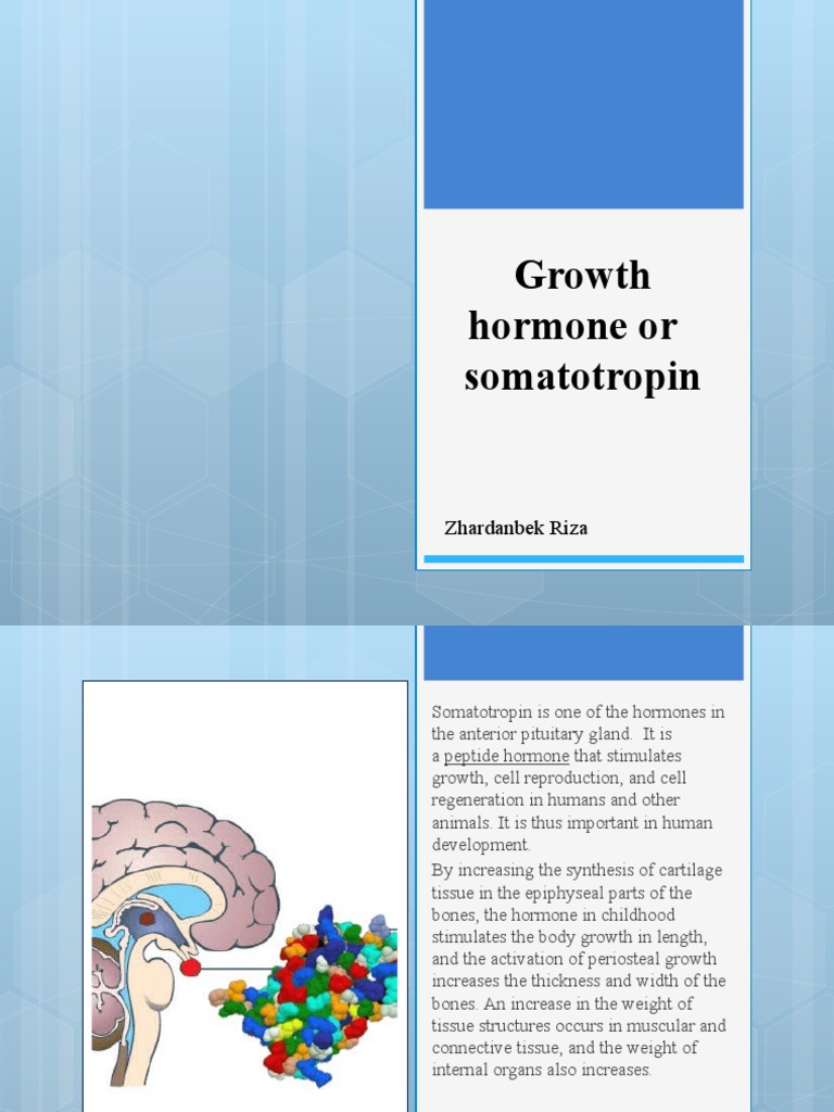 Growth Hormone | PDF