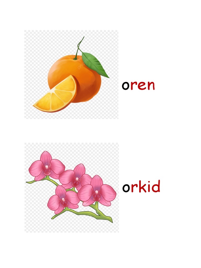 Huruf Vokal o | PDF