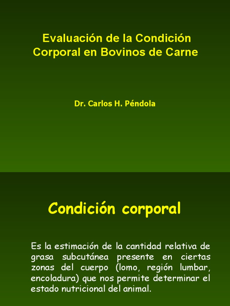 Condicion Corporal | PDF | Tejido adiposo | Nutrición