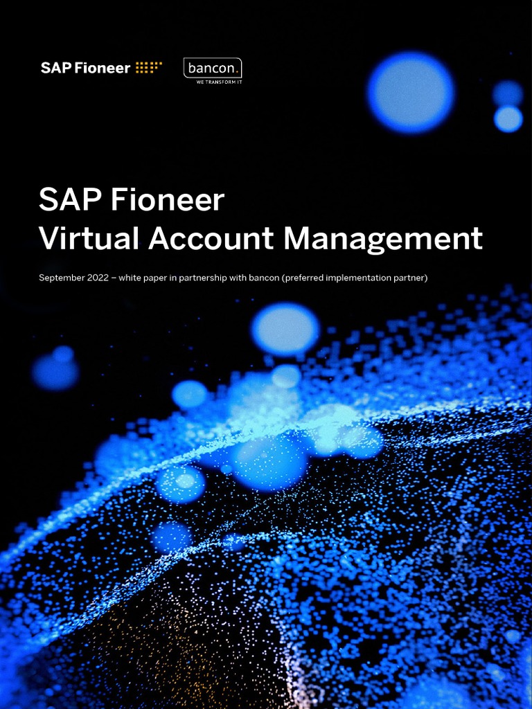 Virtual Accounts Management SAP Fioneer White Paper | PDF