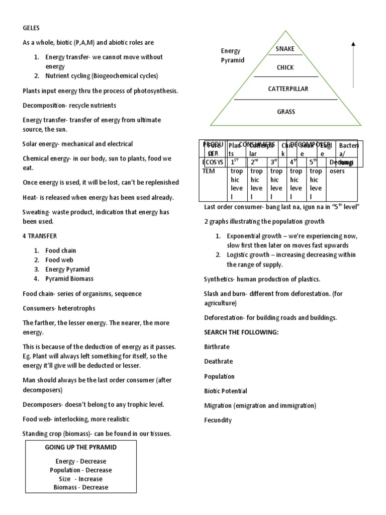 Energy Transfer and Ecosystem Dynamics | PDF | Food Web | Ecosystem