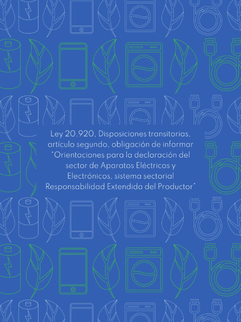 Manual Declaracion Aee | PDF