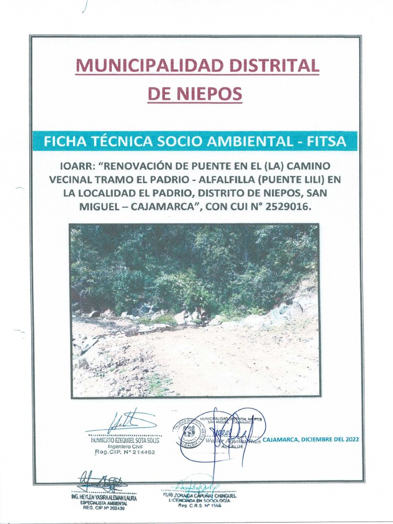 Fitsa-Puente Lili - Comp | PDF