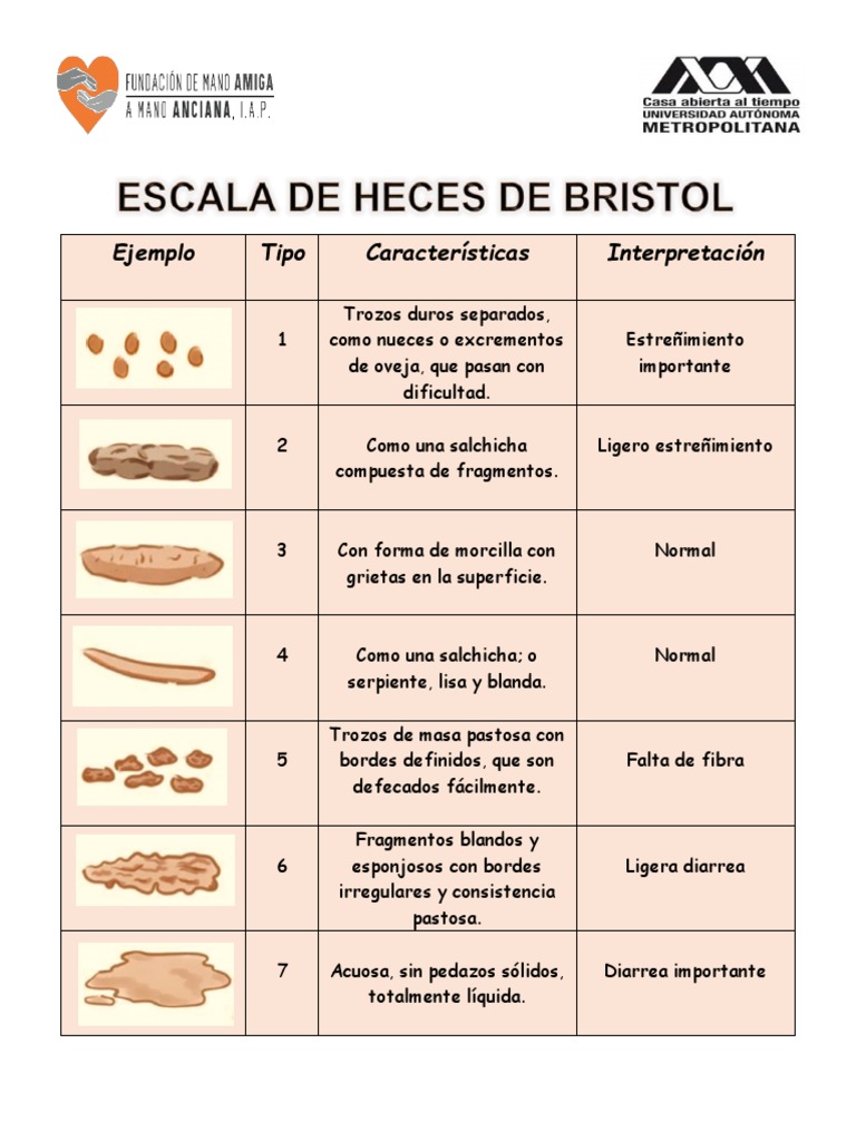 Escala de Heces de Bristol-5 - 220903 - 151432 | PDF