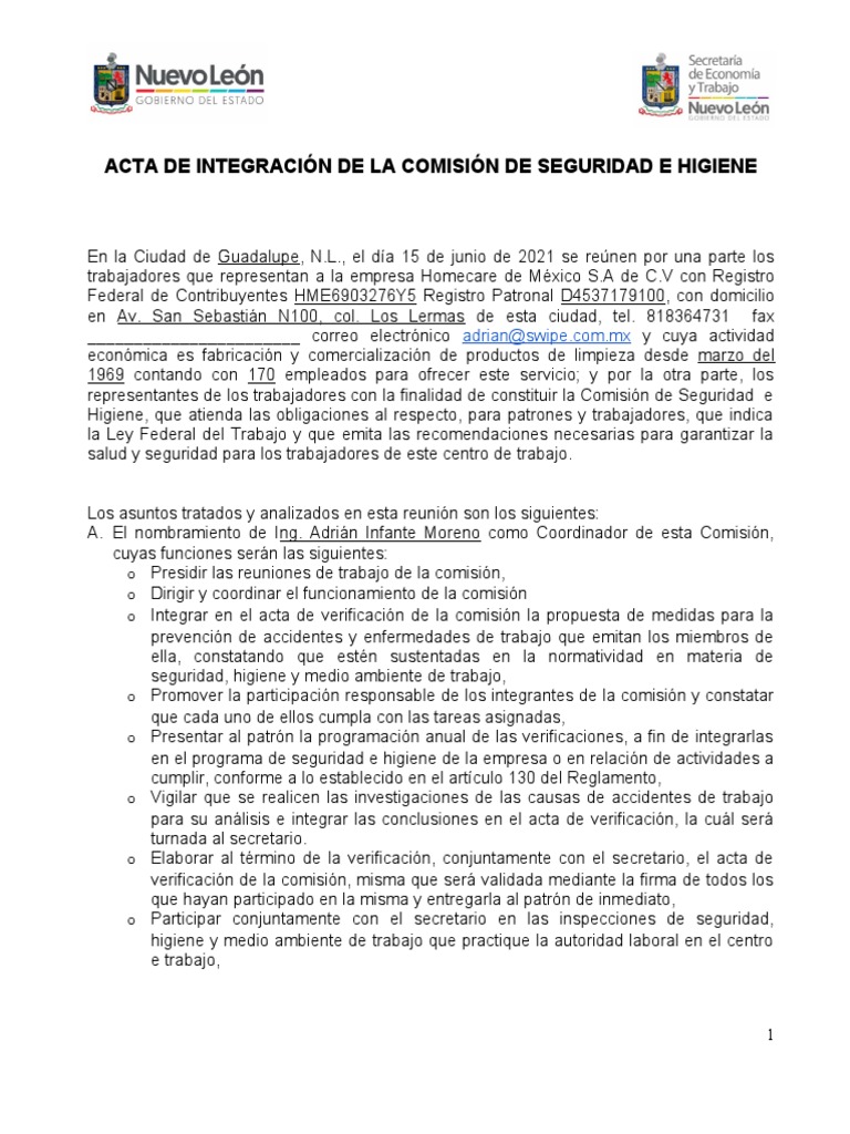 Formato Acta Comision de Seguridad e Higiene | PDF