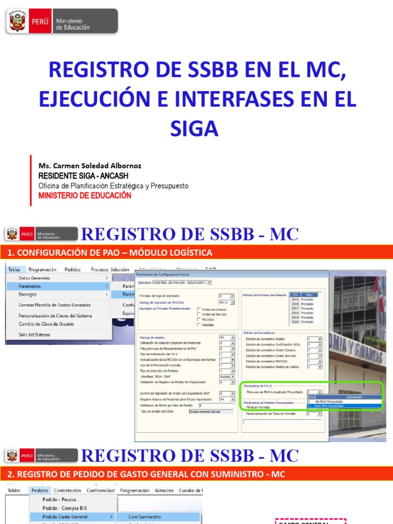 Registro Servicios Basicosen El Modulo Complementario Siga - Siaf | PDF