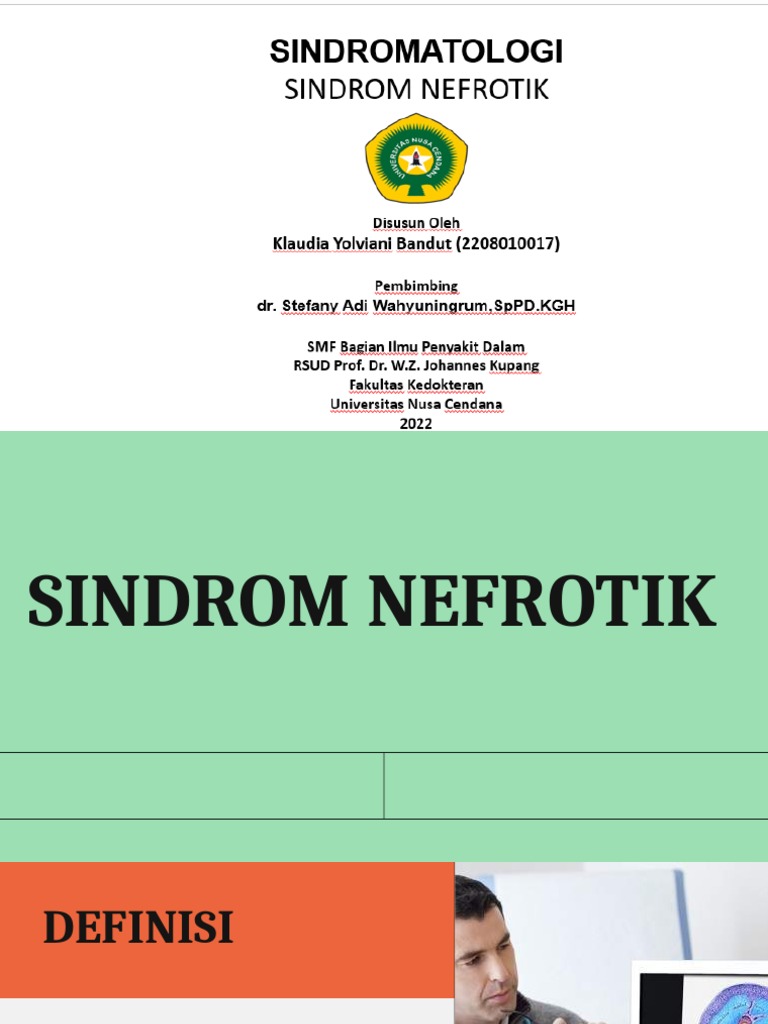 Sindrom Nefrotik | PDF