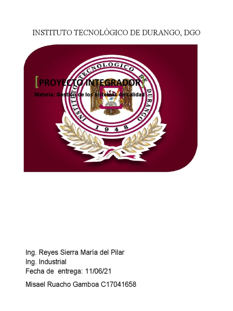 Proyecto Integrador | PDF