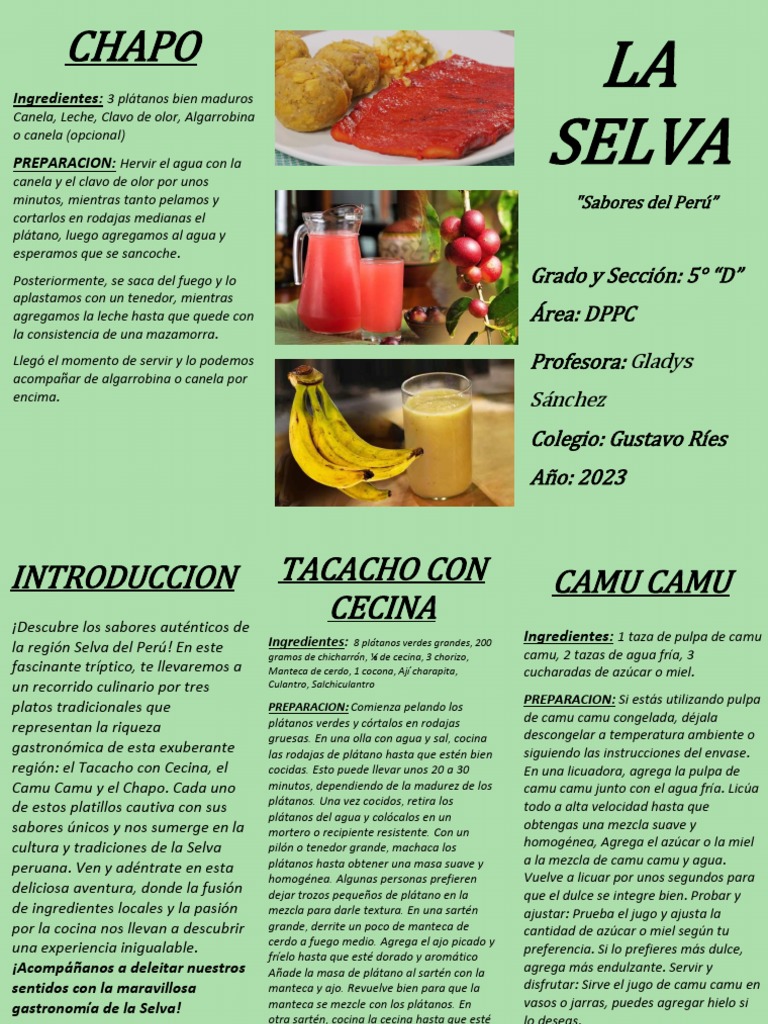 DPCC Comida | PDF | Alimentos | Cocina