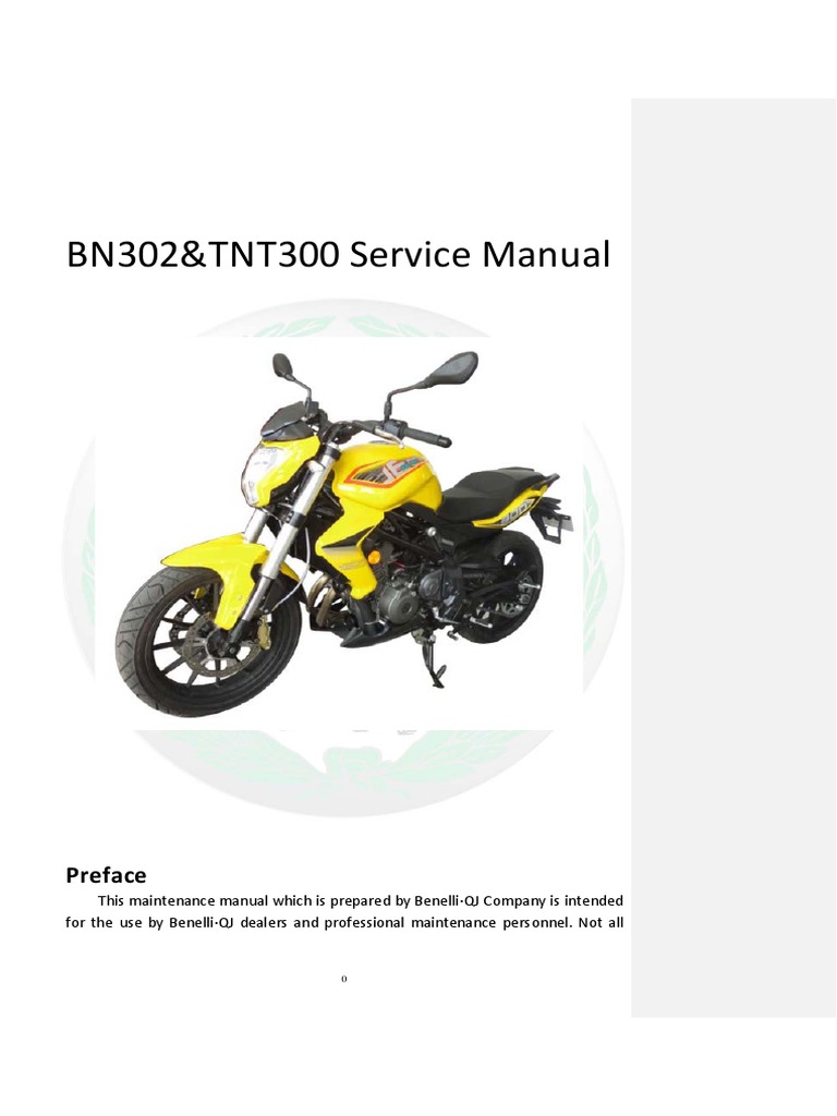 BN302 TNT300 Service | PDF | Exhaust Gas | Vehicle Technology