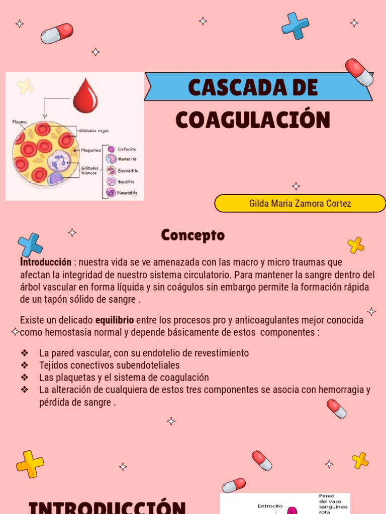Cascada Coagulacion | PDF