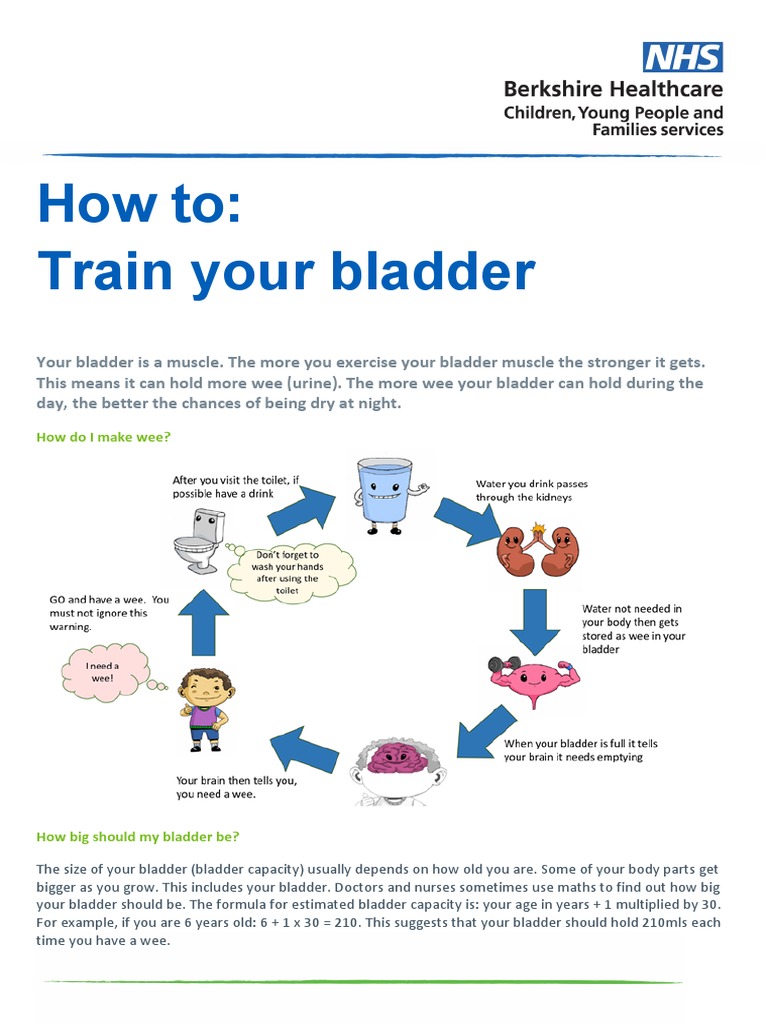 Bladder Training Tips for Kids | PDF | Drink