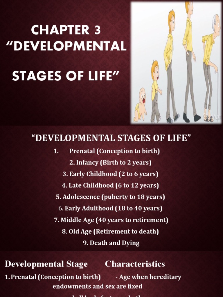 Chapter 3 - Developmental Stages of Life | PDF | Developmental ...