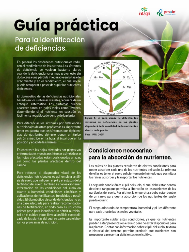 Gu - A PR - Ctica para La Identificaci - N de Deficiencias | PDF