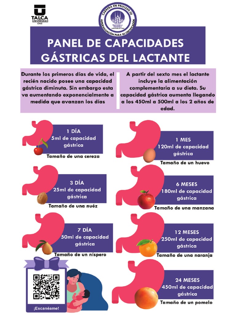Capacidad Gastrica Listo | PDF