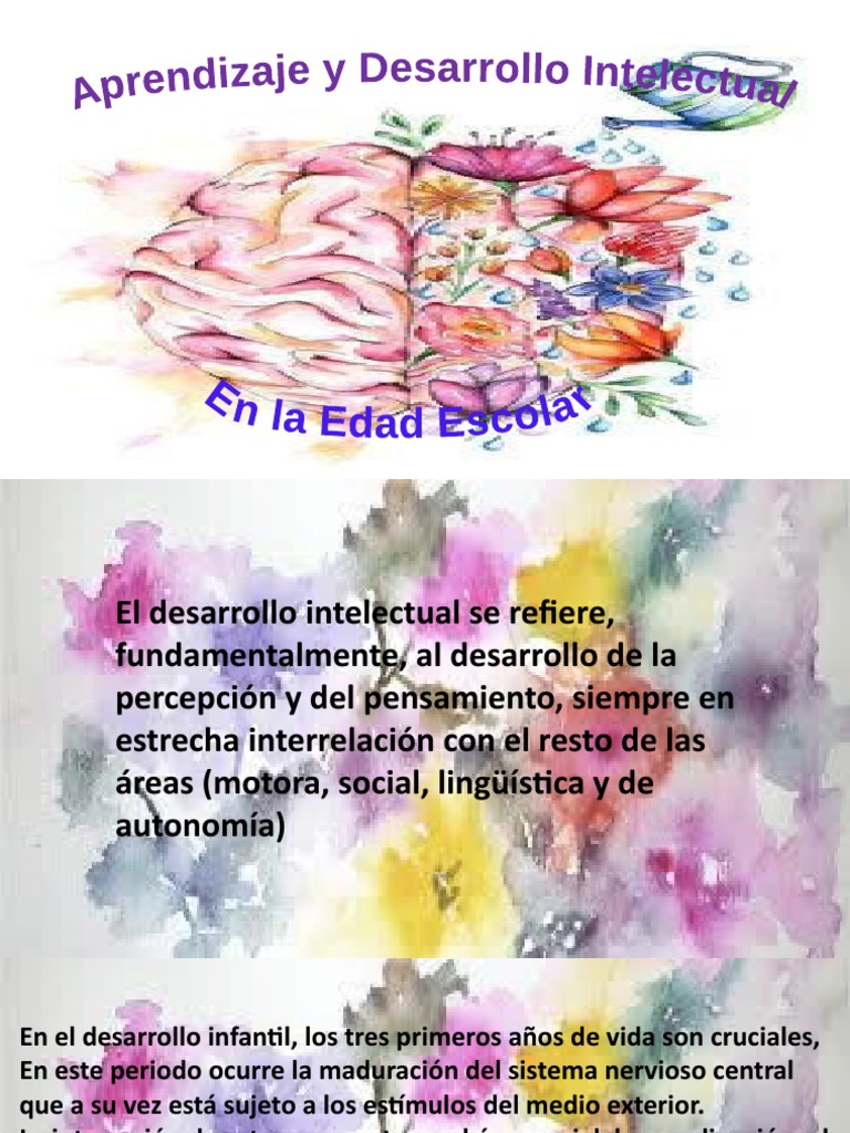 Desarrollo Intelectual | PDF