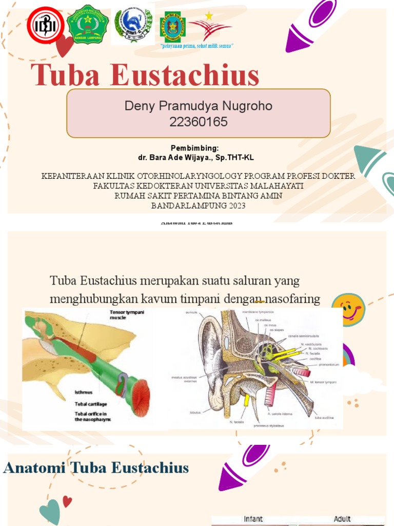 Tuba Eustachius Deny | PDF