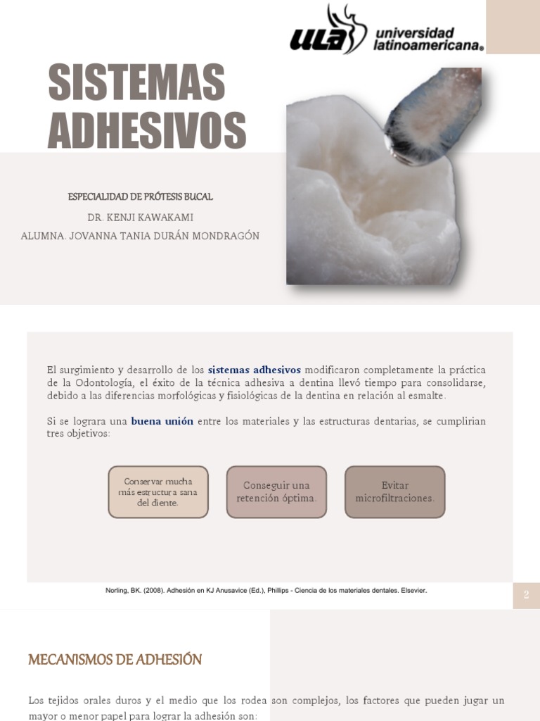 Sistemas Adhesivos | PDF