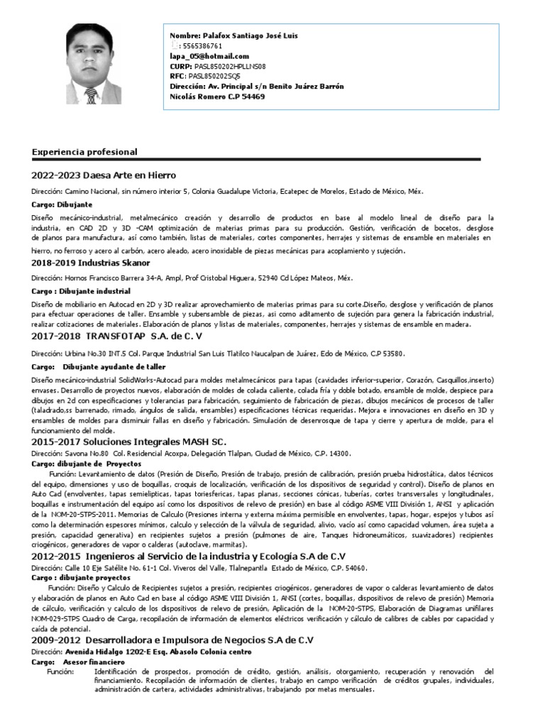 Curriculum | PDF | Ingeniería