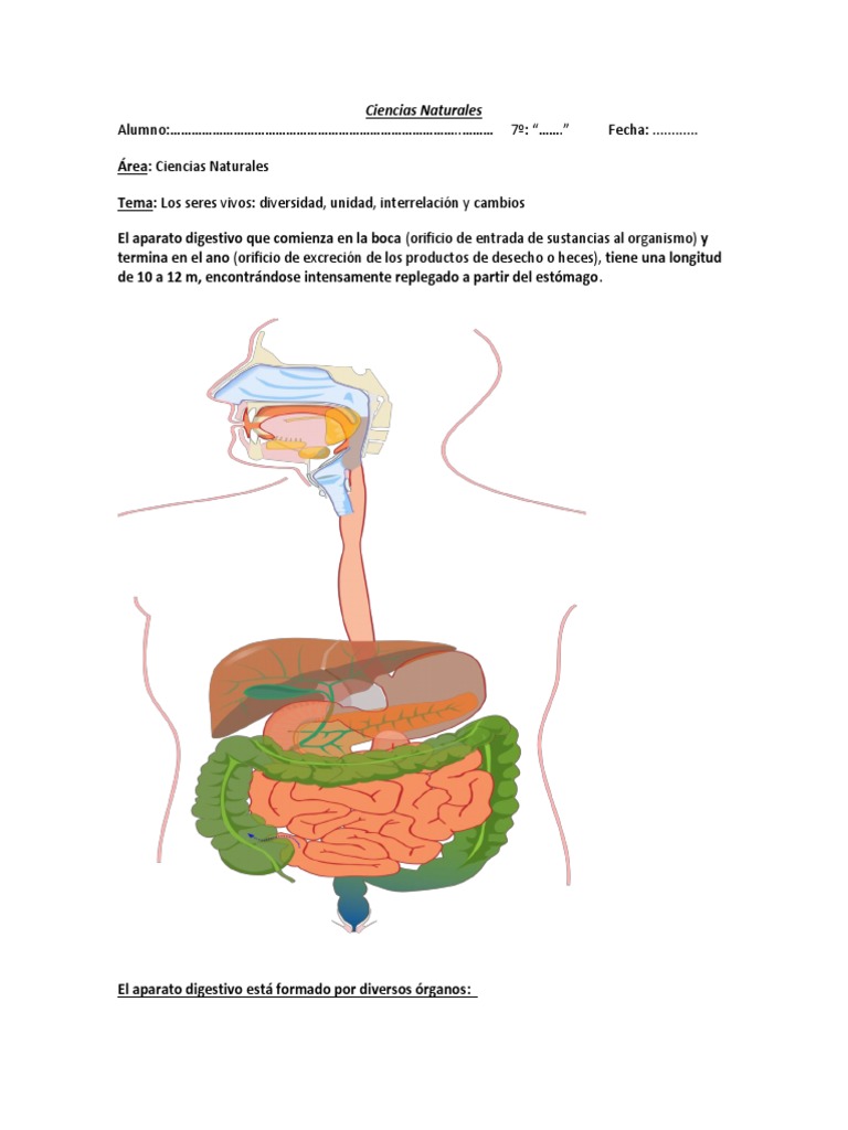 Cartilla 7 - Ciencias Naturales - Semana 1 - 31-7-20 | Descargar gratis ...
