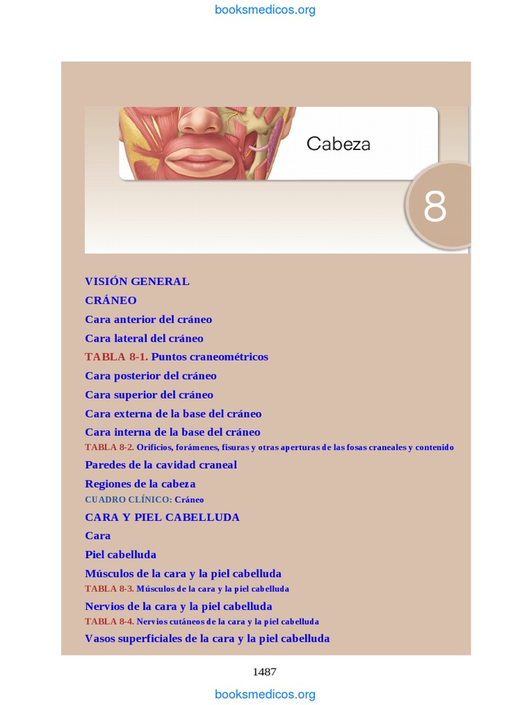 Cabeza Y Cuello Pdf Cráneo Sistema Musculoesquelético