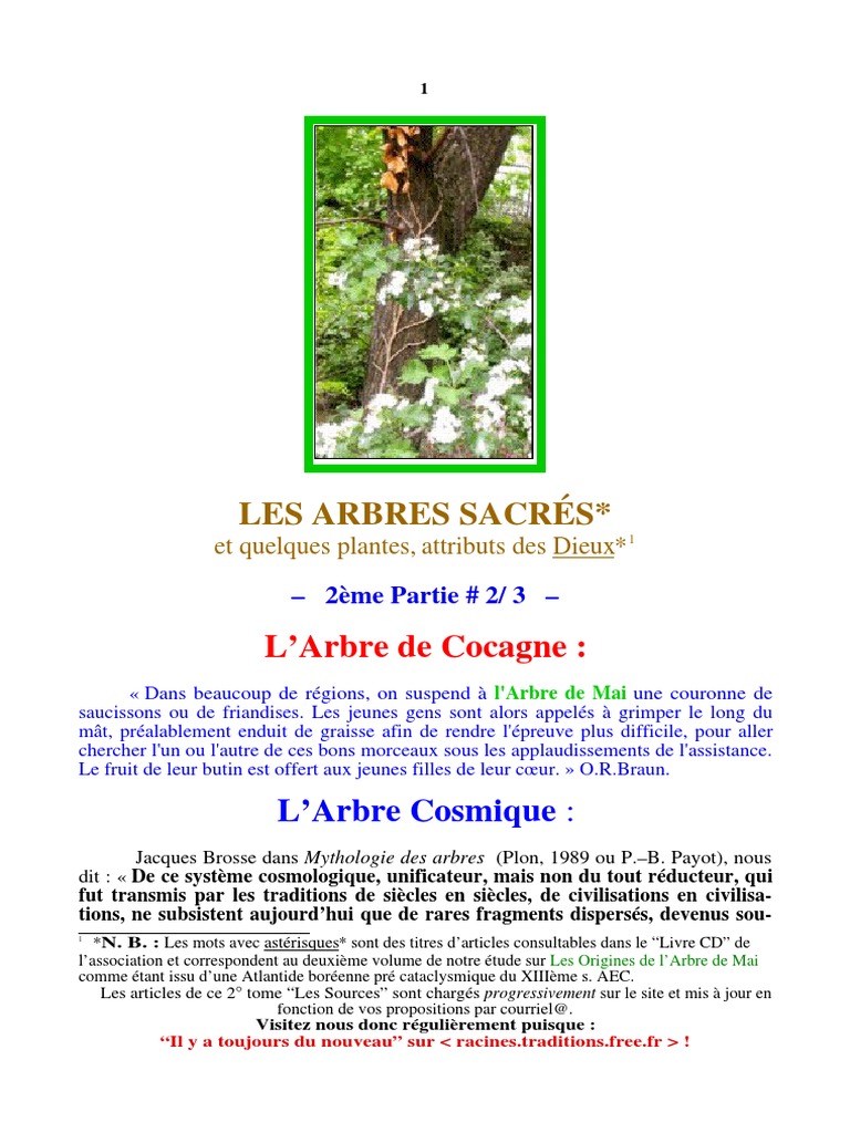 Arbres Sacrés 2 Sur 3 | Descargar gratis PDF | Noël | Châtaigne
