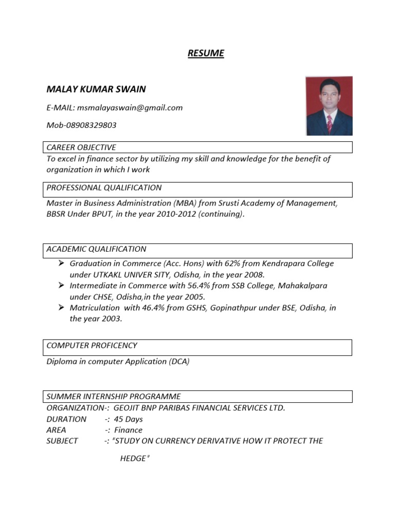 Malay Resume | PDF
