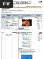 Diagnostico Eca Octavo | PDF | Ecuador | Evaluación