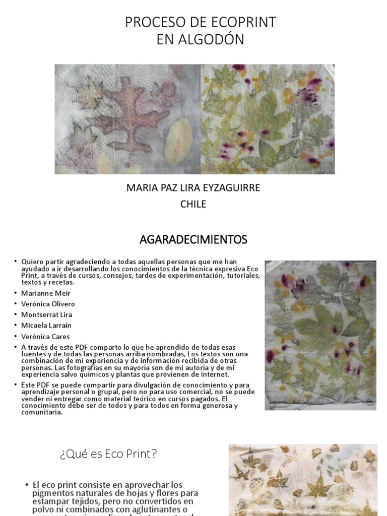 Proceso de Ecoprint en Algodon | PDF | Agua | Calcio