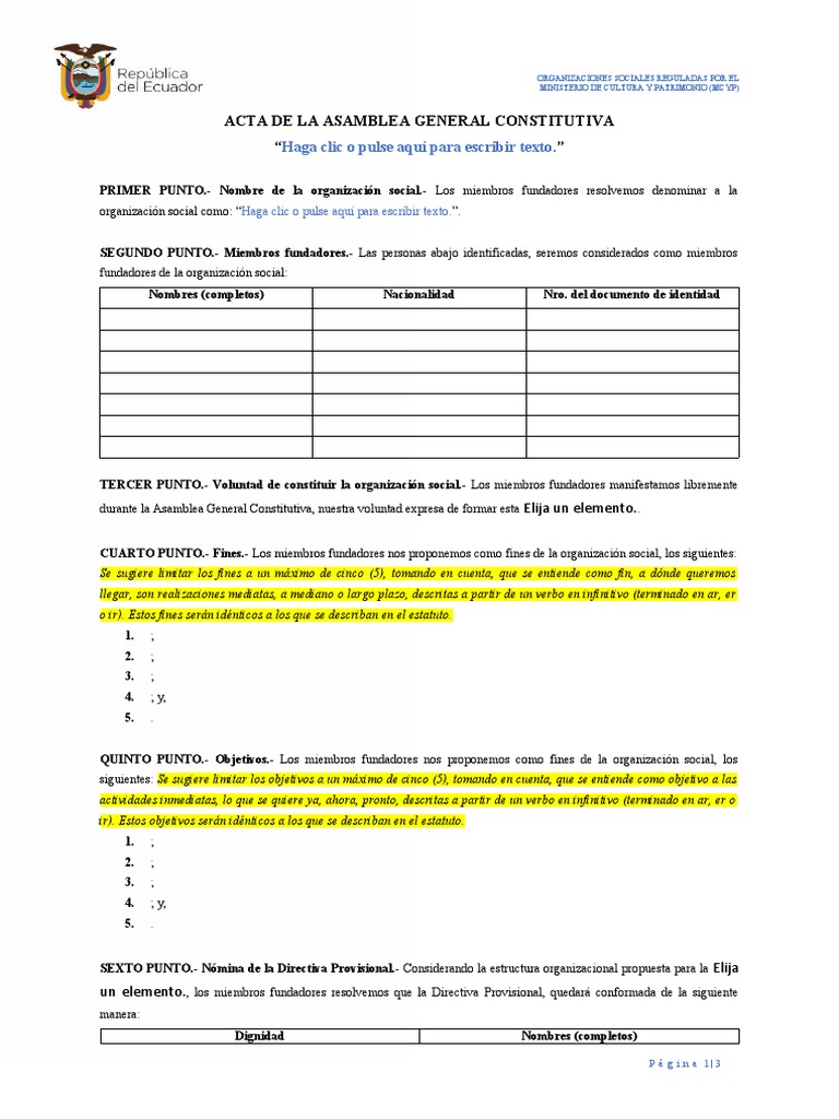 Formato de Acta Constitutiva | PDF