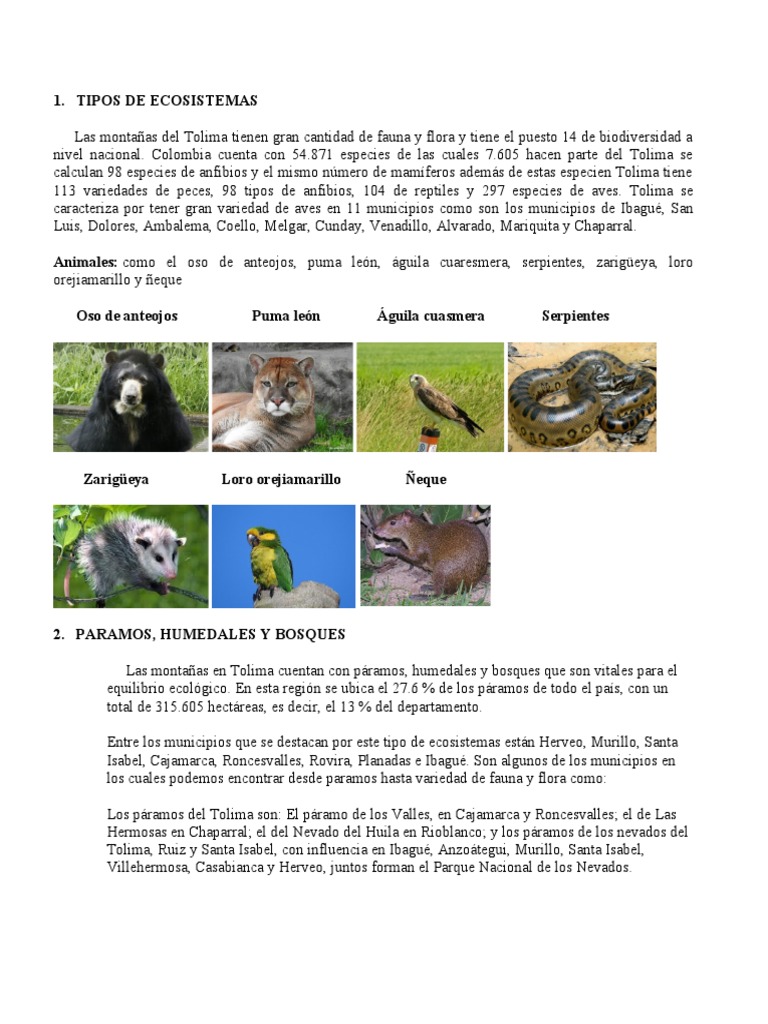 Tipos de Ecosistemas | PDF