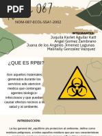 Cartel Rpbi | PDF | Hogar, jardinería y bricolaje | Salud y bienestar