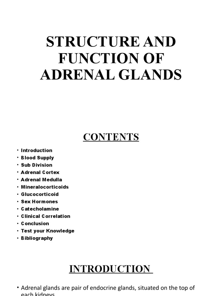 Structure and Function of Adrenal Glands | PDF