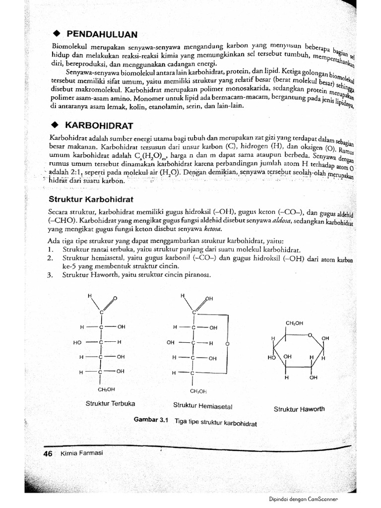 Biomolekul Kimia Farmasi Kelas 12 Pdf