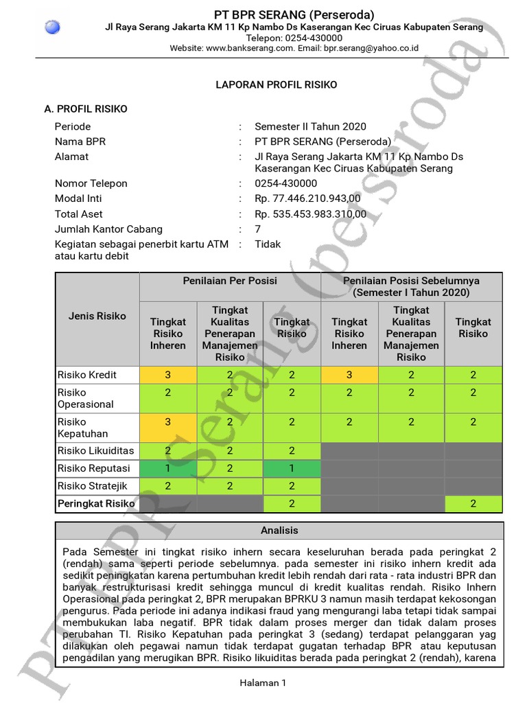 Contoh Laporan Manajemen Risiko BPR | PDF
