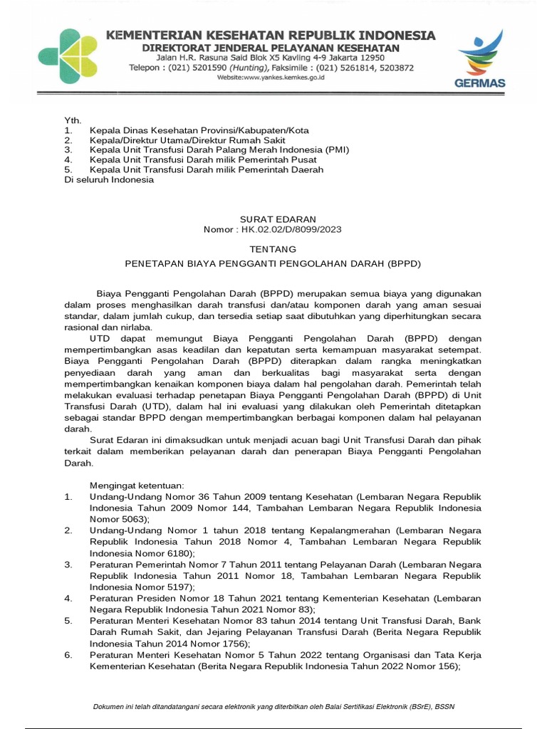 SE BPPD - Dirjen Pelayanan Kesehatan | PDF