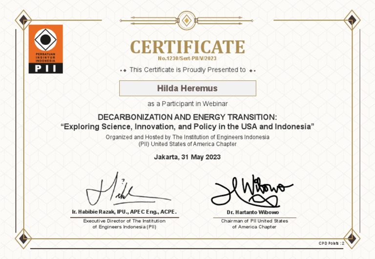 Certificate Decarbonization and Energy Transition | PDF
