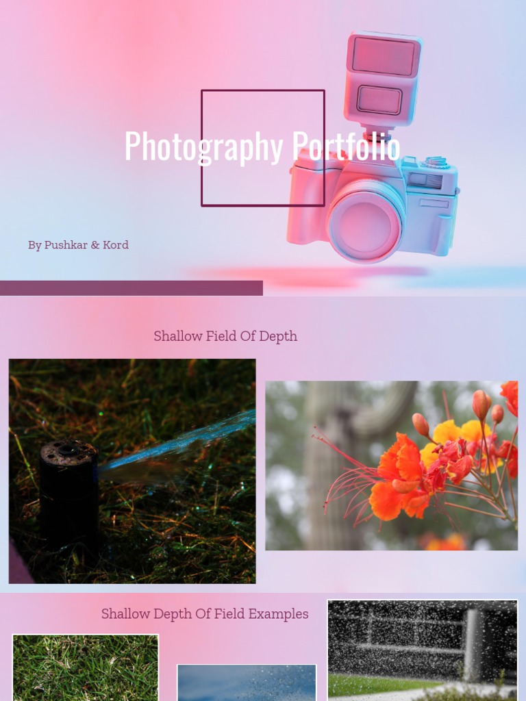 Photography Portfolio | PDF