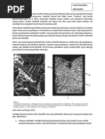 Diagram Fasa Fe-Fe3C dan Karakteristik Baja | PDF
