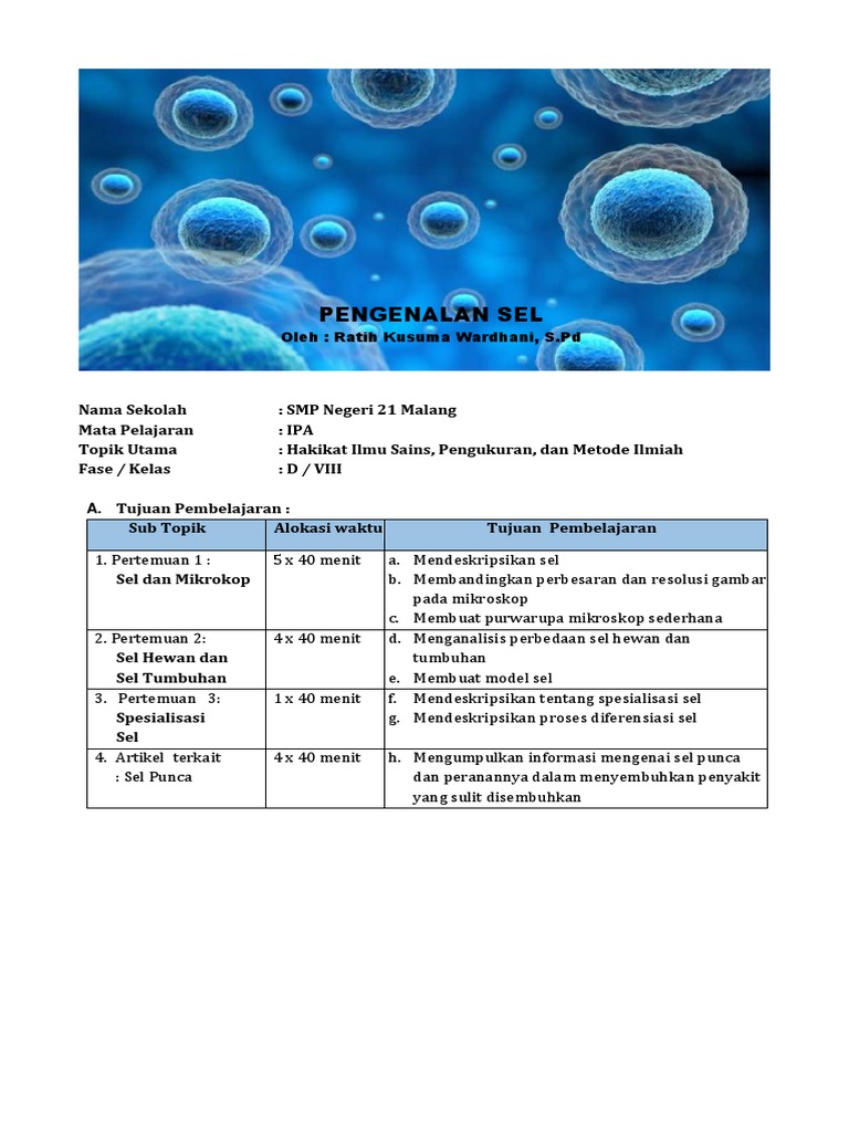 MODUL AJAR IPA KELAS VIII FASE D-SEL (Ratih) | PDF | Sains & Matematika