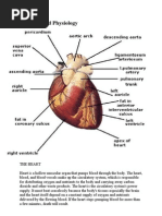 The-Cardiovascular-System Notes Marieb | PDF | Heart | Atrium (Heart)