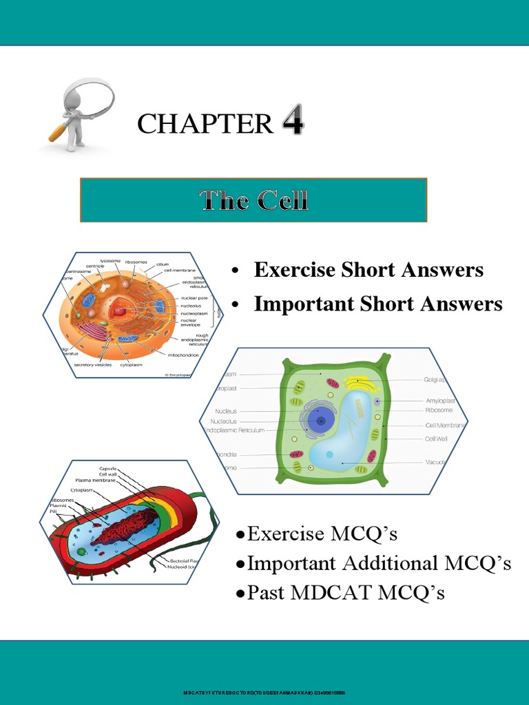 Chapter 4 Biology 1st Year - Prof. Ijaz Ahmed Khan Abbasi (Lecturer ...