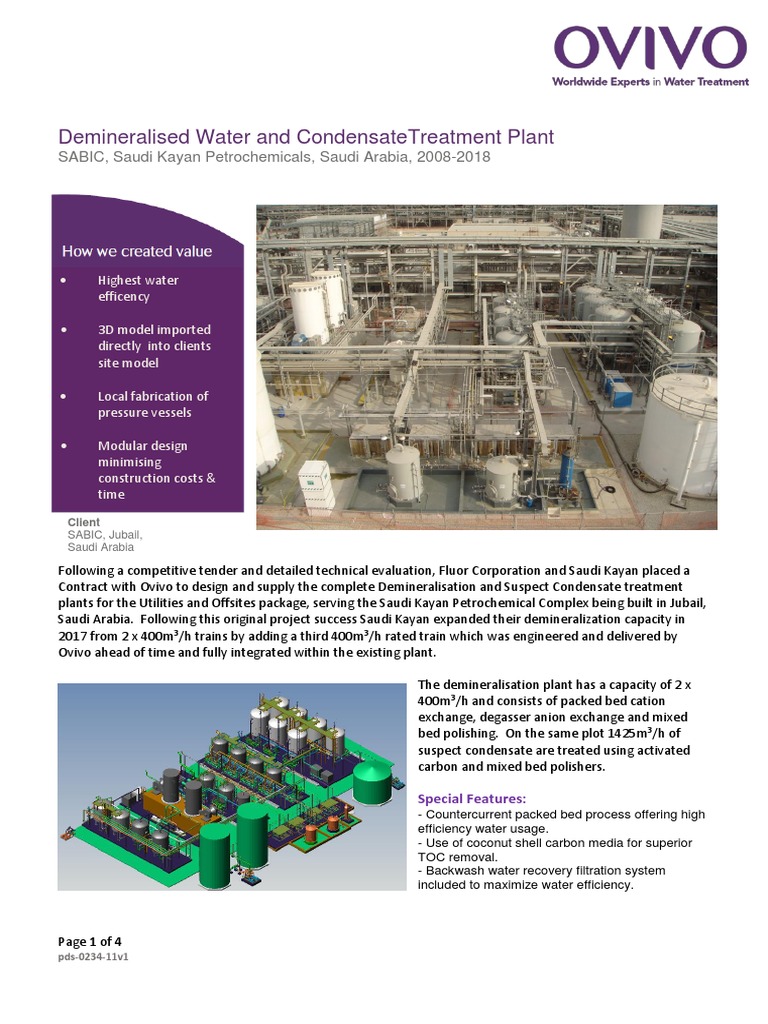 Saudi Kayan Project Data Sheet Rev 1 | PDF