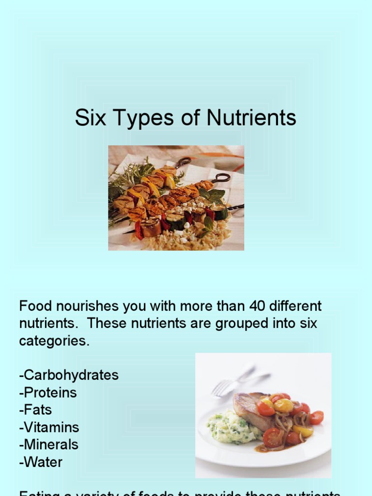 Six Types of Nutrients | PDF