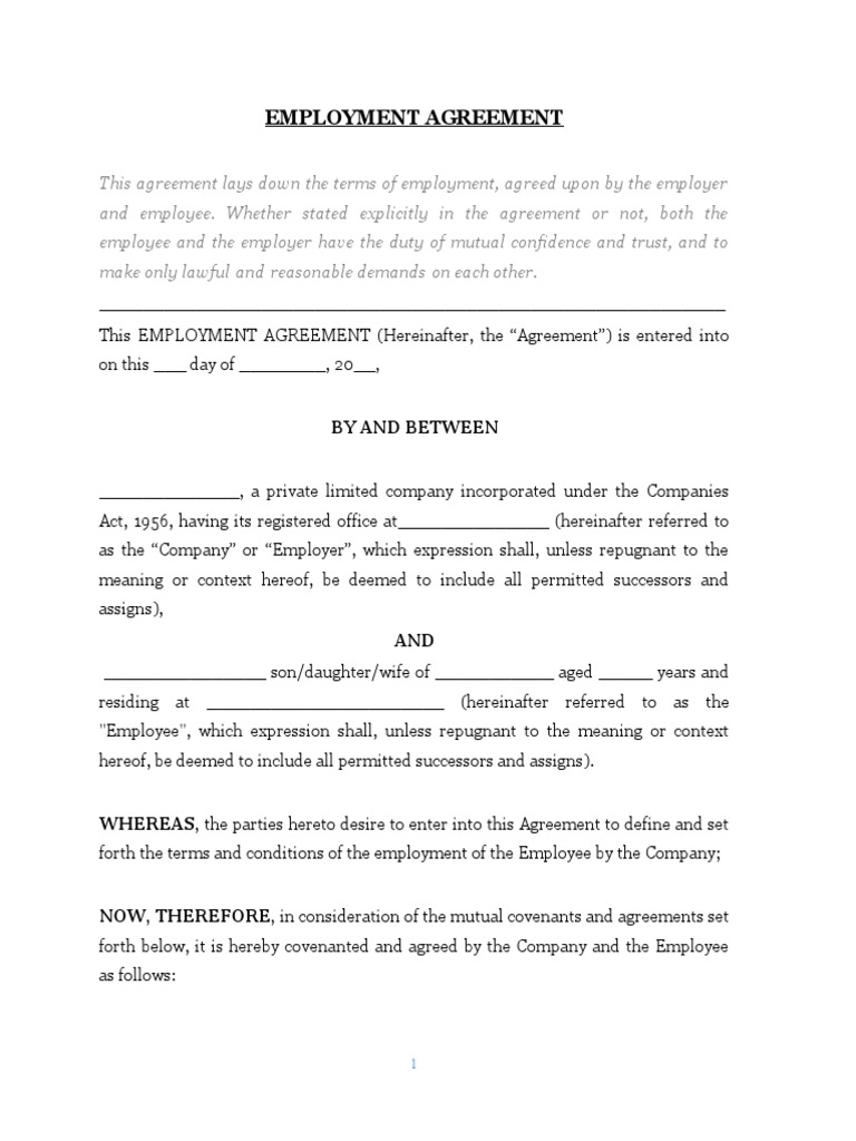 Employment Agreement Terms and Conditions | PDF | Finance & Money ...