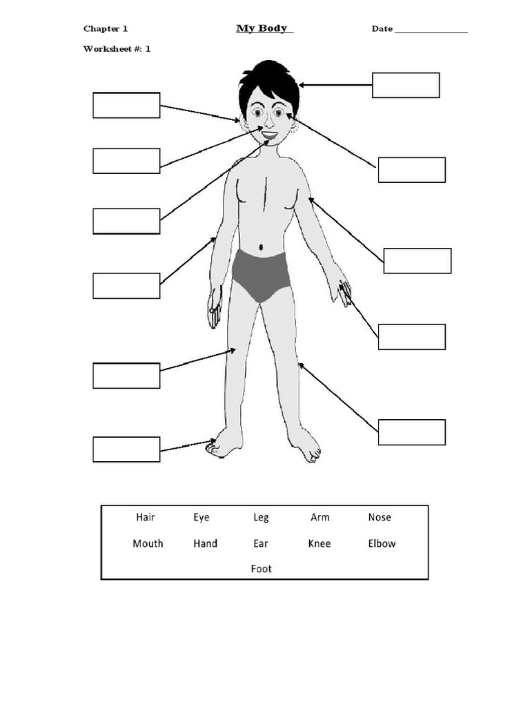 Science Worksheet Class 1 2015 | PDF | Senses | Taste