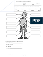 Grade 1 Physical Science States of Matter Worksheet | PDF