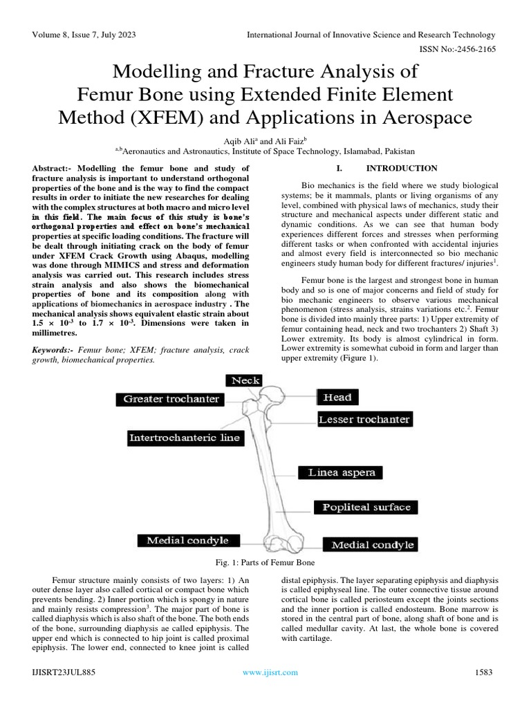 Modelling And Fracture Analysis Of Femur Bone Using Extended Finite Element Method Xfem And
