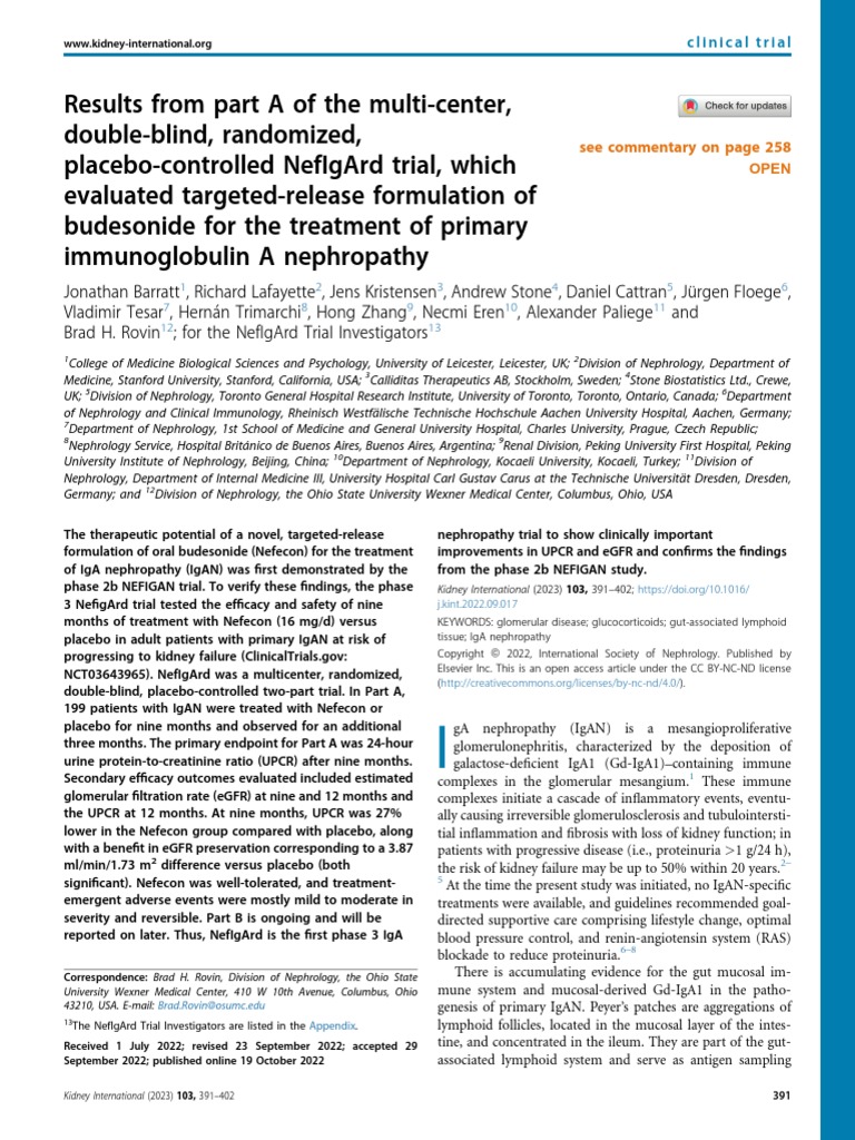 NefIgArd Trial | PDF | Kidney Disease | Chronic Kidney Disease