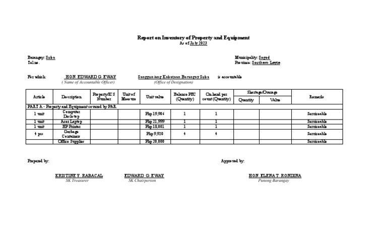 Report-on-Inventory-of-Property-and-Equipment | PDF